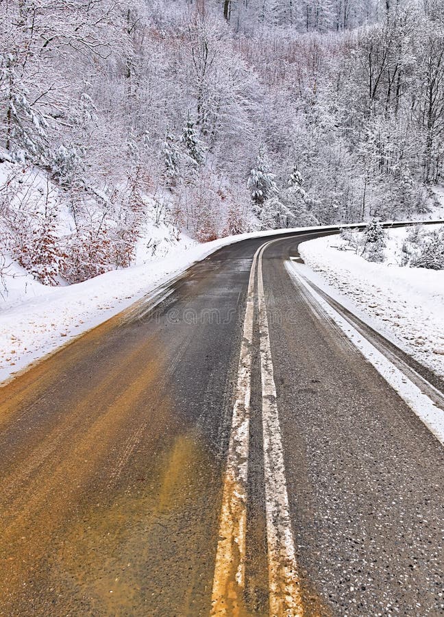 Empty Asphalt Road in Snow Covered Spruce Forest, Beautiful Winter ...