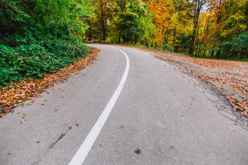 Empty autumn road stock image. Image of line, fallen - 45951587