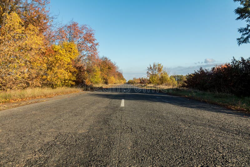 Empty Autumn Road Along Golden Winter Wheat Fields at Sunset Stock ...