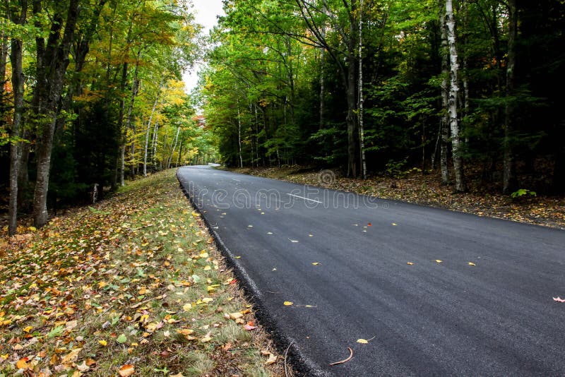 Empty autumn road stock image. Image of autumn, trees - 127407117