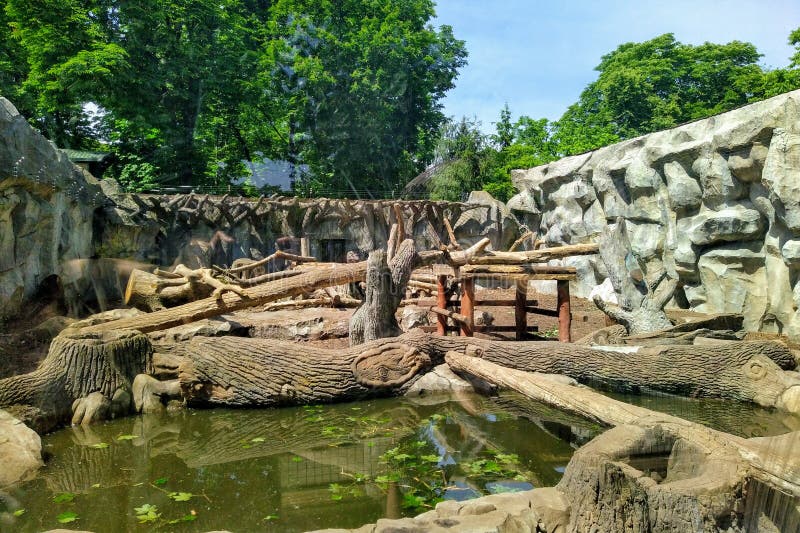 Empty Aviary with Pond in City Zoo Stock Photo - Image of park, fauna ...