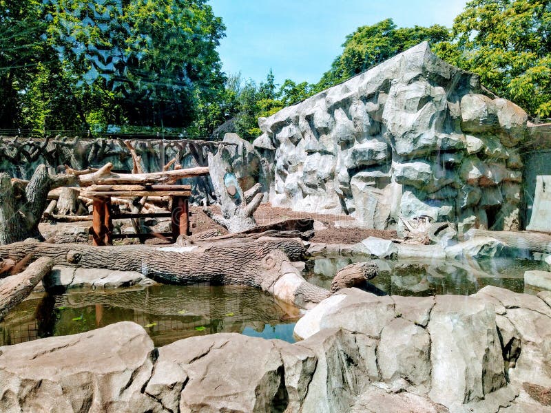 Empty Aviary with Pond in City Zoo Stock Photo - Image of spring, park ...