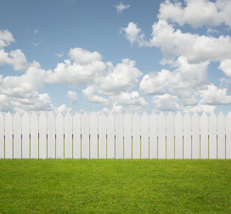 Empty back yard background stock photo. Image of back - 33768610