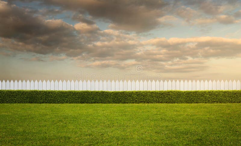 Front or Back Yard, White Wooden Fence on the Grass Isolated on Stock ...
