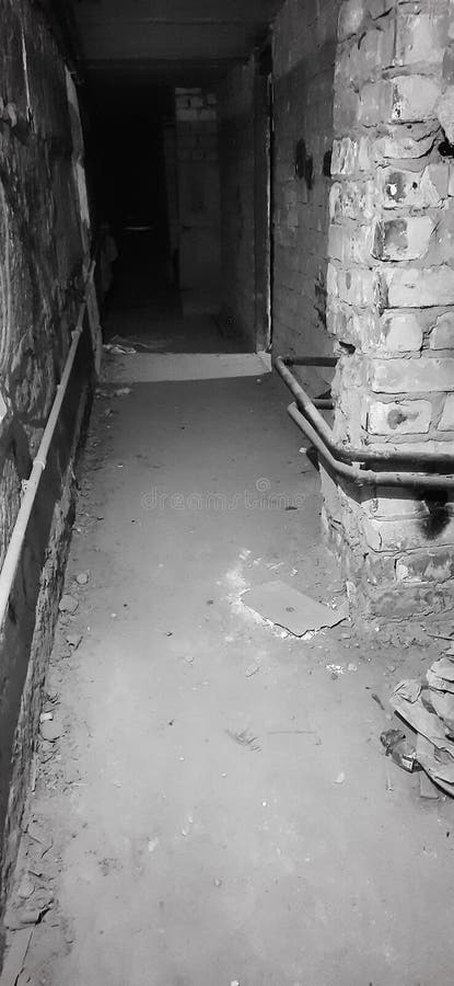 753 Shelter Basement War Stock Photos - Free & Royalty-Free Stock ...