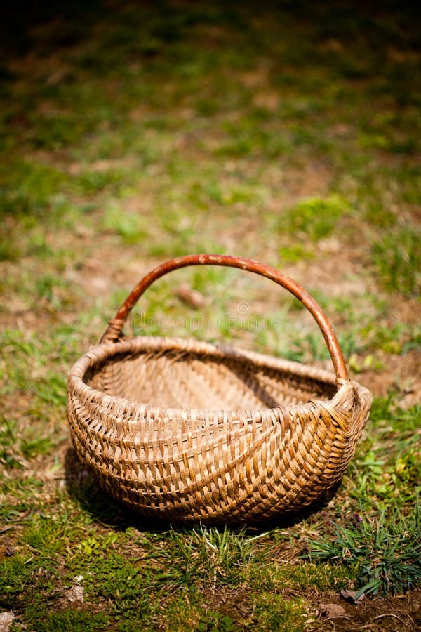 Hands stock photo. Image of white, help, gesture, path - 5000848