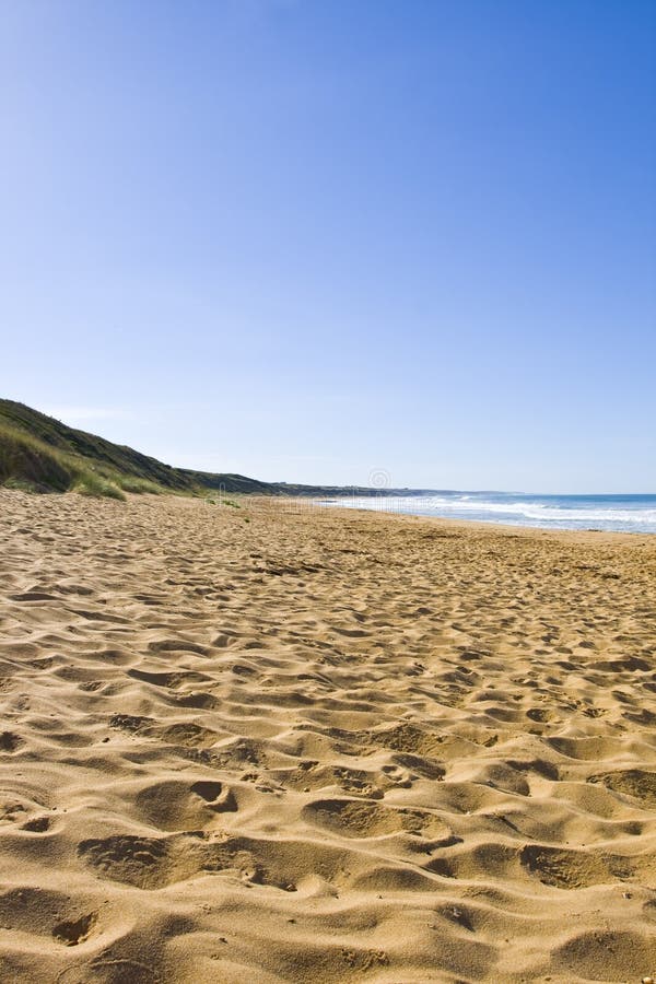 Empty beach stock photo. Image of summer, dreaming, scene - 7308554