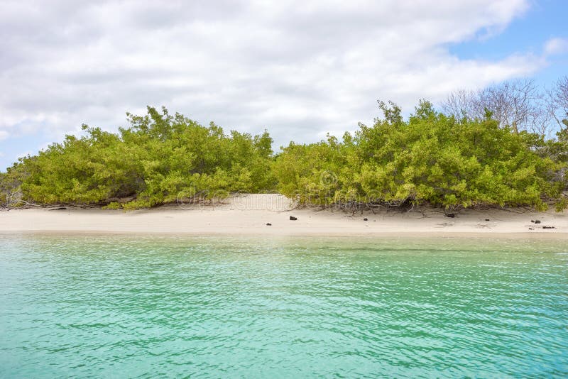 Empty Beach on a Beautiful Uninhabited Island, Galapagos Islands ...