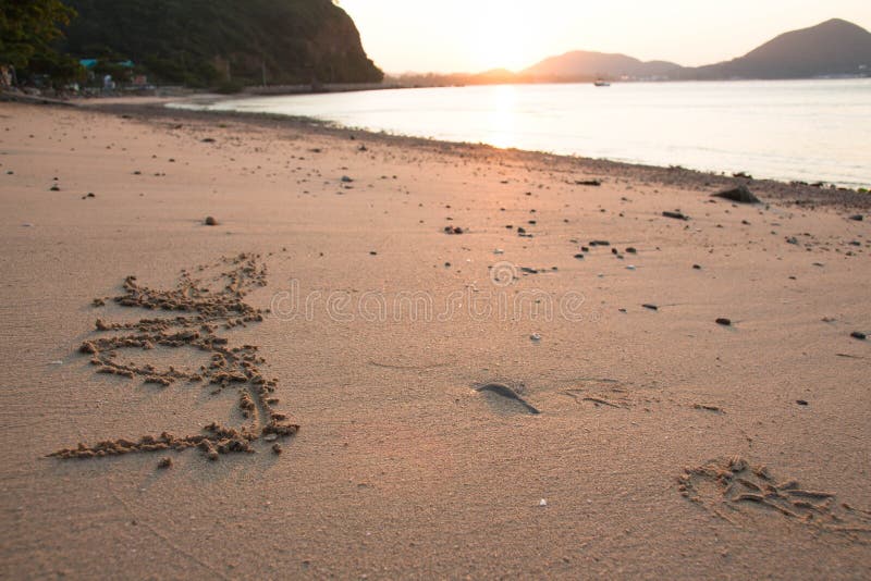 Beach Floor Background Texture Stones Cobbles Various Wet Sun Stock ...