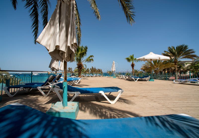 Empty Beach Loungers Under Palm Trees without People in Egypt Stock ...