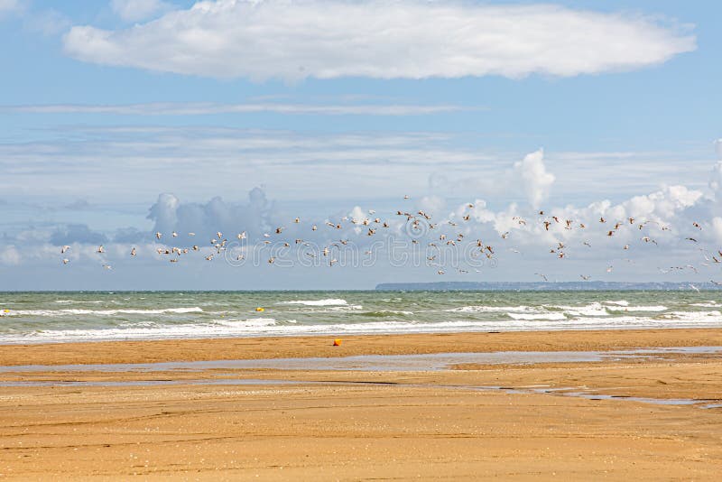 Empty beach without people stock image. Image of tropical - 177772365