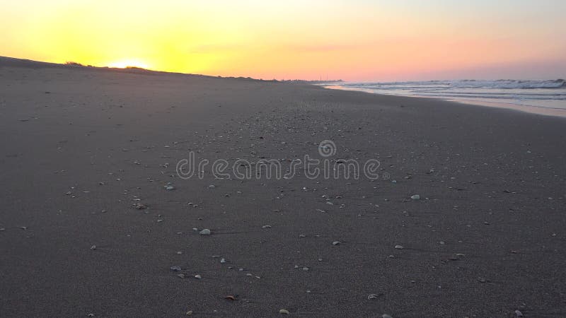 A Beach with Seashells by the Ocean during Sunrise Stock Video - Video ...