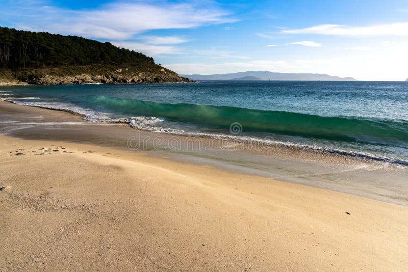 Empty Beautiful Beach with Waves Breaking on Golden Sand and Forest ...