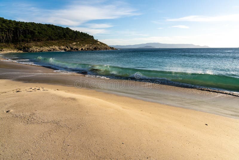 Empty Beautiful Beach with Waves Breaking on Golden Sand and Forest ...