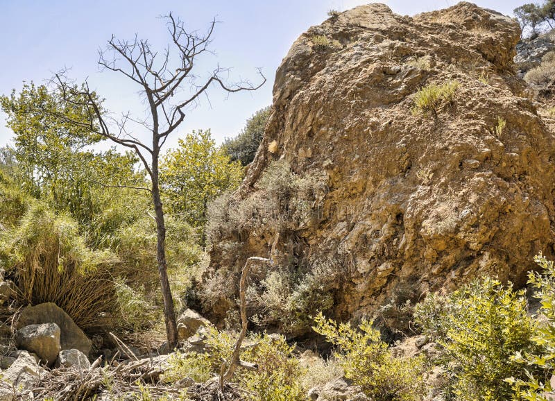 Empty Bed of a River that Flows through a Topolia Gorge on the Crete ...