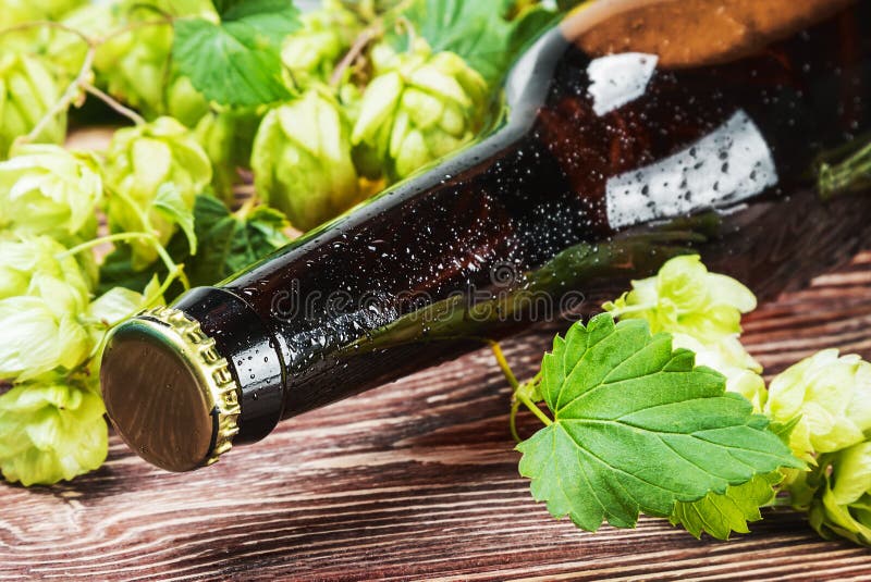 Empty Beer Bottles and Hop on Wooden Table Stock Image - Image of beer ...