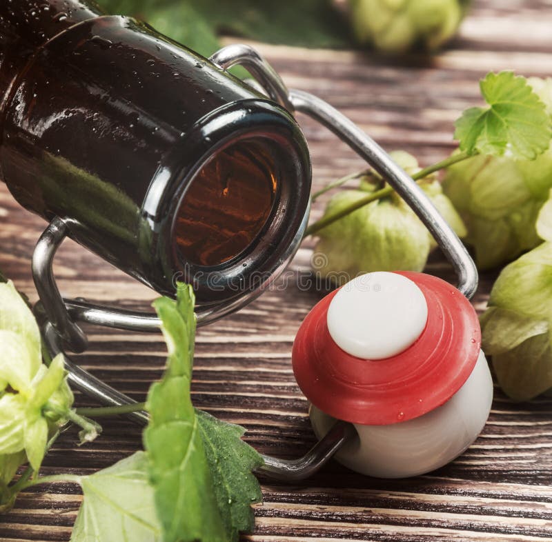Empty Beer Bottles and Hop on Wooden Table Stock Image - Image of beer ...