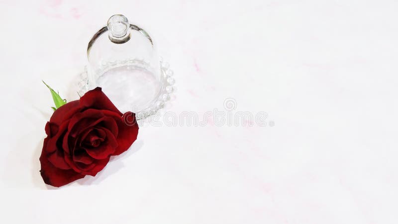 An Empty Glass Jar with a Single Red Rose Stock Image - Image of ...