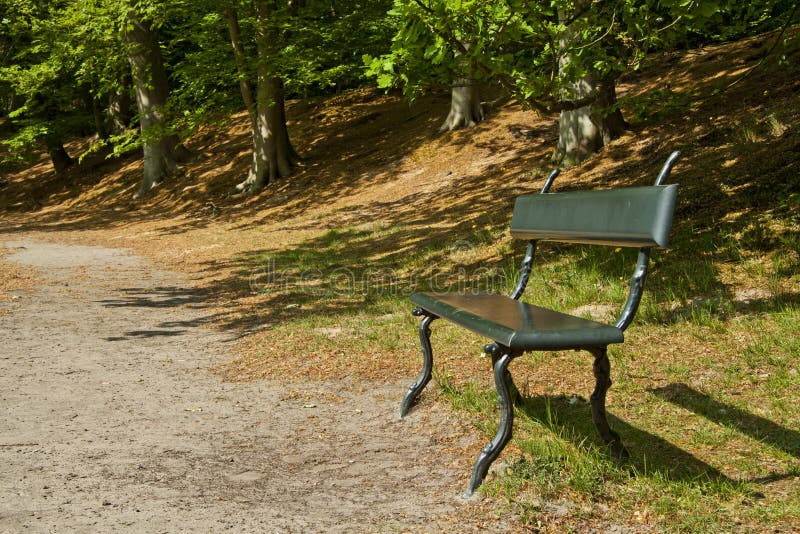 Empty bench stock photo. Image of quiet, nature, seat - 19534968