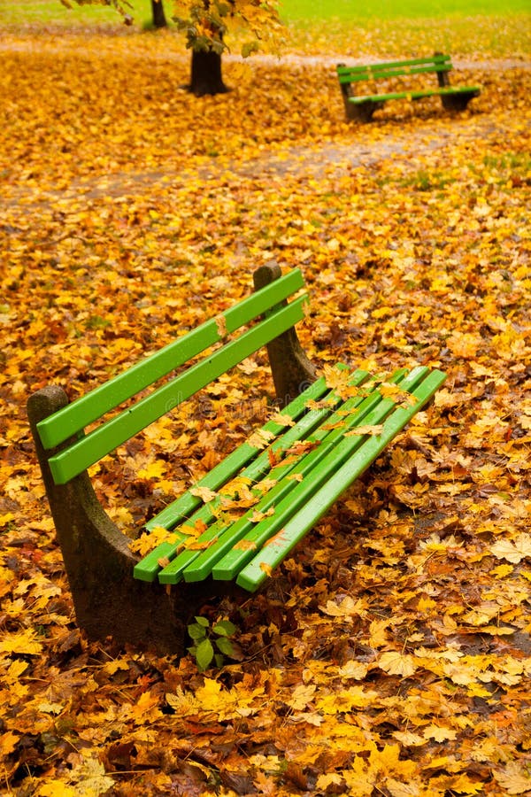 Empty bench in autumn stock photo. Image of tree, scene - 16719226