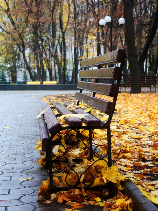 Autumn in the Park stock image. Image of bench, tree - 91559827