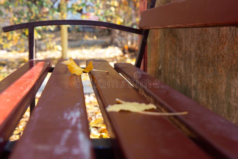 Empty Bench in the Autumn Park. Autumn Background with Falling Leaves ...