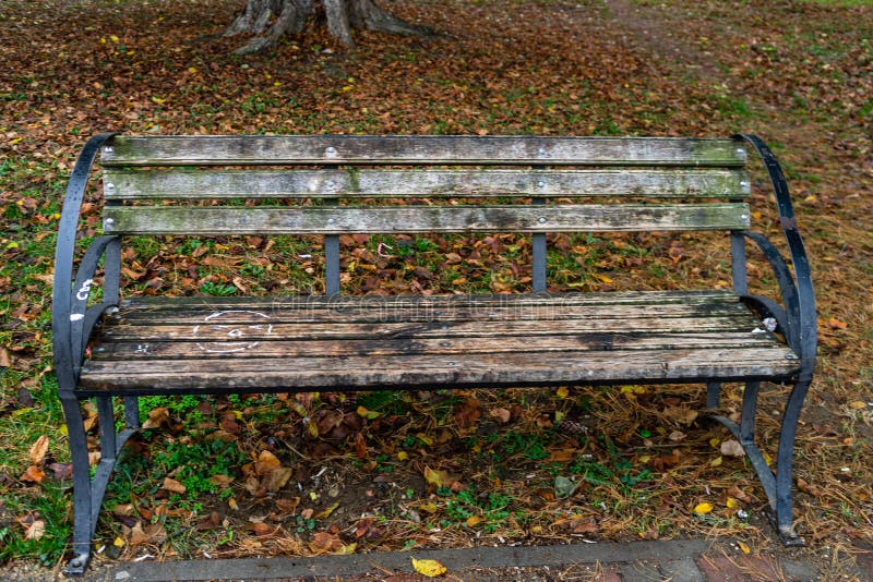 Empty Bench in Autumn Park. Colorful Trees and Fallen Leaves in Autumn ...