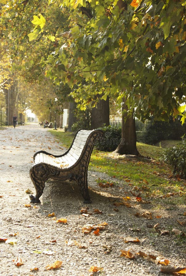 Empty Bench in Autumn Park on Fall Leaves Background. Park Bench on ...