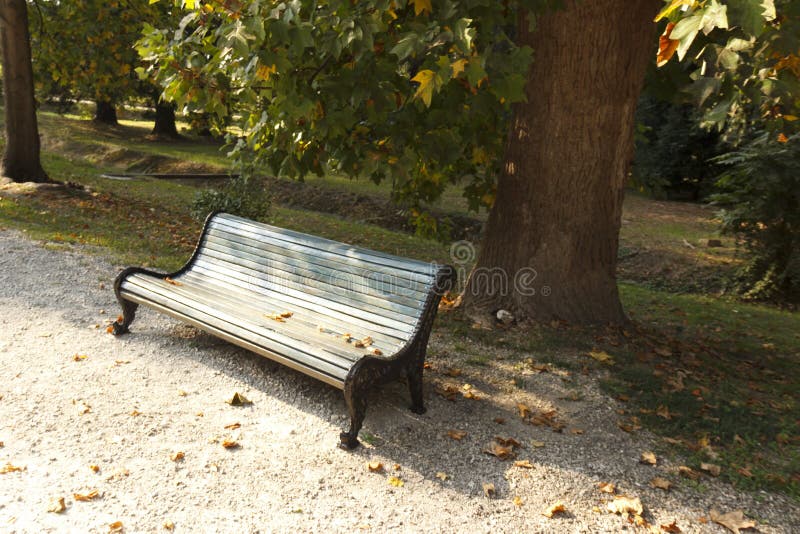 Empty Bench in Autumn Park on Fall Leaves Background. Park Bench on ...