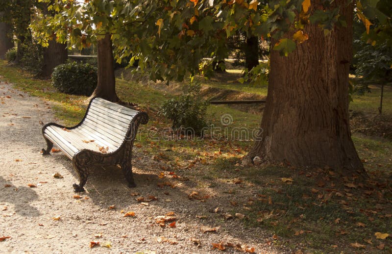 Empty Bench in Autumn Park on Fall Leaves Background. Park Bench on ...
