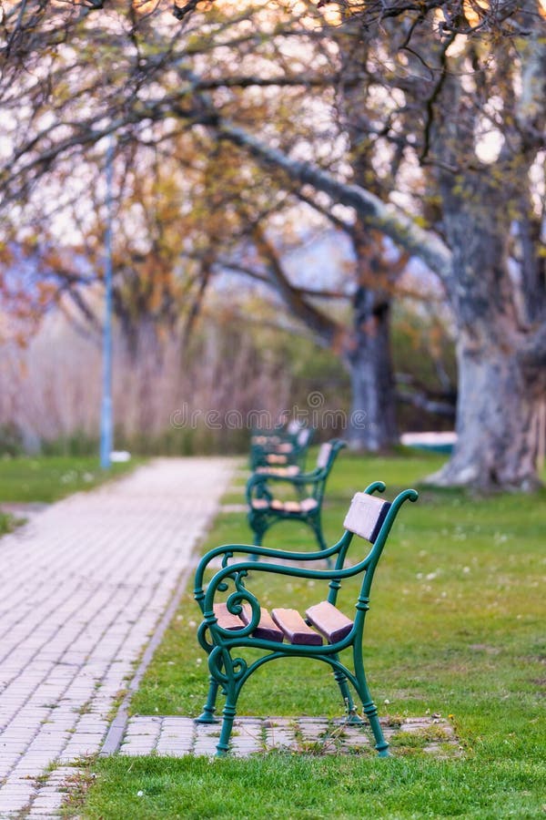 Empty Bench in the Autumn Park in Village Szigliget of Hungary Stock ...