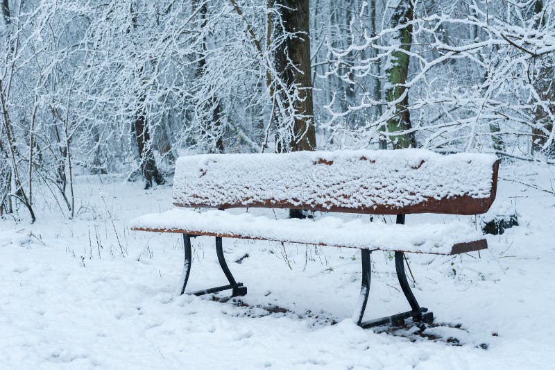 Empty Bench in the Forest Under the Snow in Winter Stock Photo - Image ...