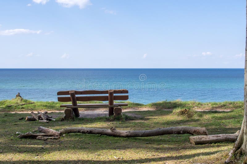 Empty Bench in Front of a Tranquil Sea Stock Image - Image of green ...
