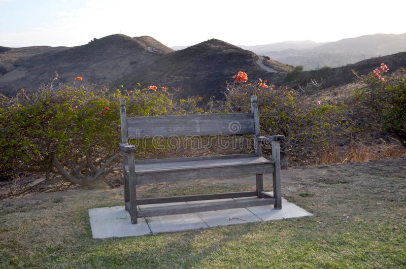 Empty Bench Looking after Wildfire Stock Image - Image of library ...