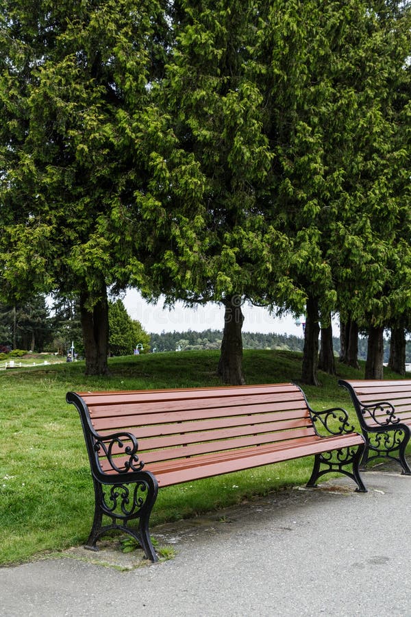 Empty Bench stock image. Image of empty, urban, bench, lonely - 928613