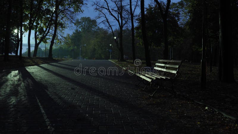 Empty Park Bench At Night Picture. Image: 86697422