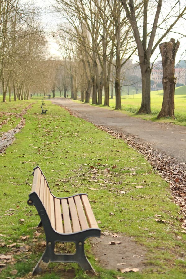 Empty Bench in the Park Side View Stock Image - Image of pamphili ...