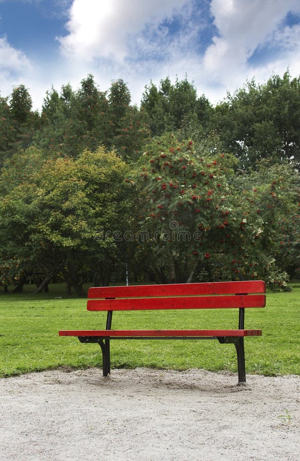 Empty bench in park stock photo. Image of season, forest - 96952806