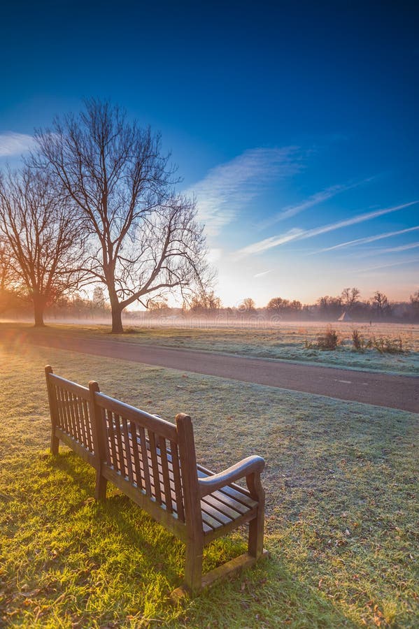 Empty Bench at Park during a Winter Sunrise Stock Image - Image of ...