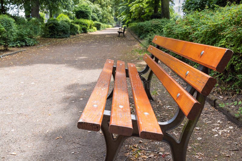 Empty Bench on a Path in the Park Stock Photo - Image of green, path ...