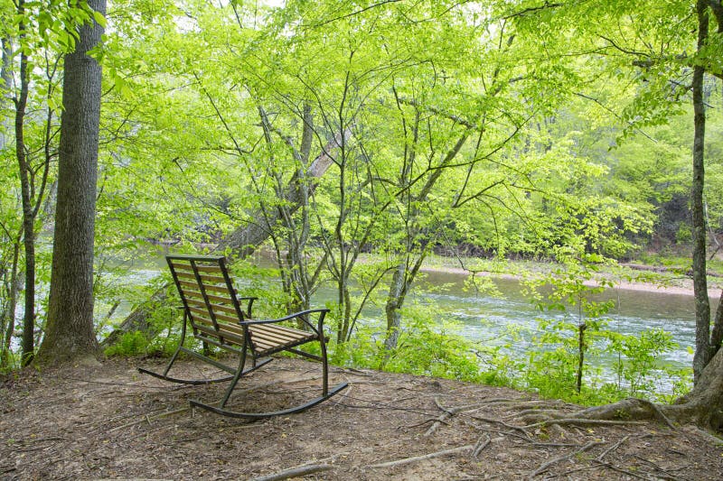 Empty Bench by River stock photo. Image of river, bench - 96313326