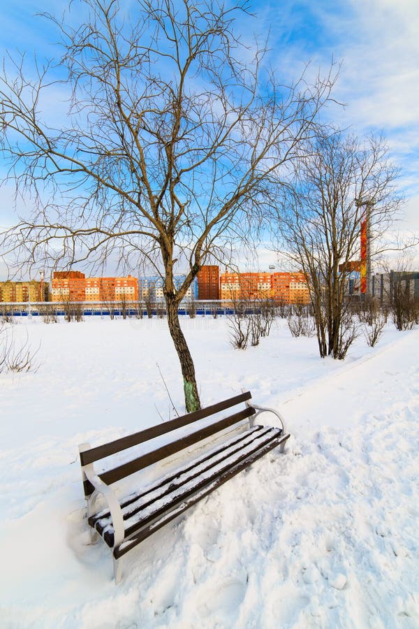 An Empty Bench in the Snow-covered City Park. Stock Photo - Image of ...