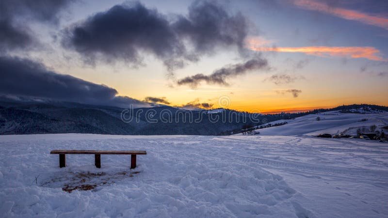 Empty Bench in the Sunset Light Stock Photo - Image of blue, nature ...