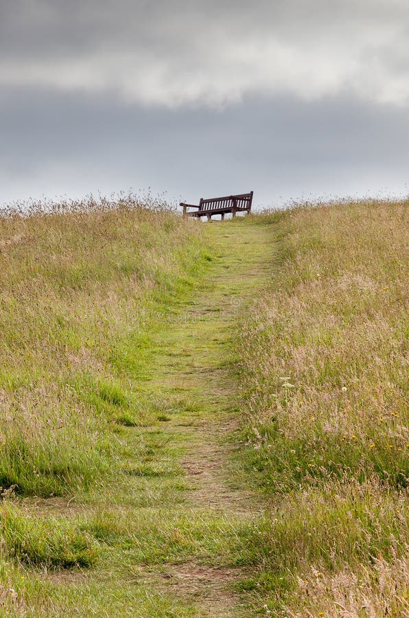 Empty Bench at the Top of a Lonely Path Stock Photo - Image of ground ...