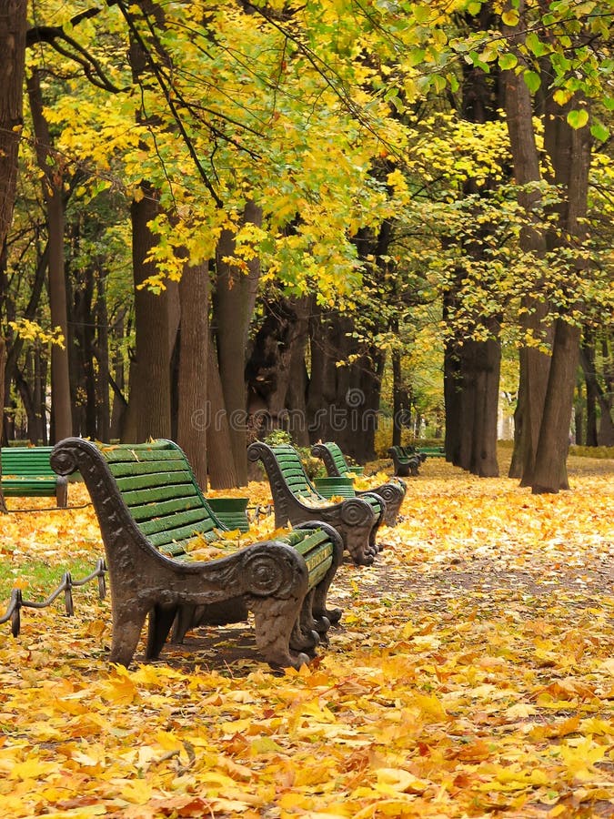 Empty bench in urban park stock photo. Image of garden - 2681510