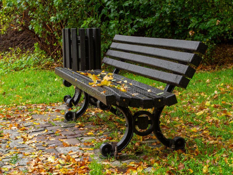 Empty park bench in autumn stock image. Image of outdoor - 255748975