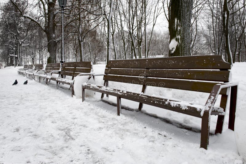 Empty bench in Winter Park stock image. Image of wood - 18379165