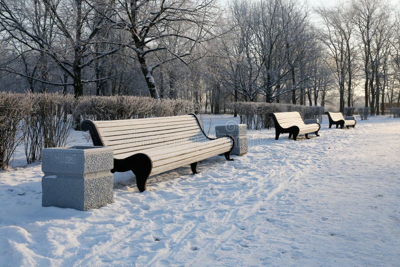 Empty bench in Winter Park stock image. Image of frost - 65289389