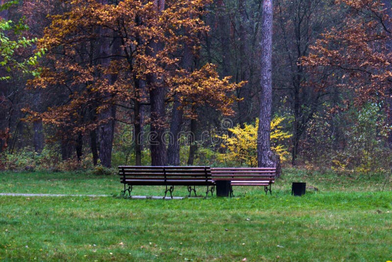 Empty Benches on Background of Autumn Park Stock Image - Image of ...