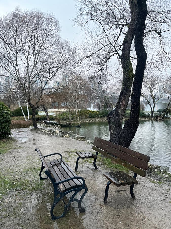 Empty Benches Opposite Each Other Stock Photos - Free & Royalty-Free ...